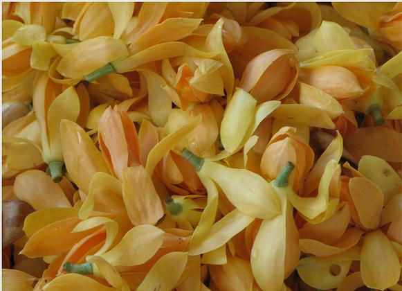 Welcome to Aniruddha's Australia Group: March 2013