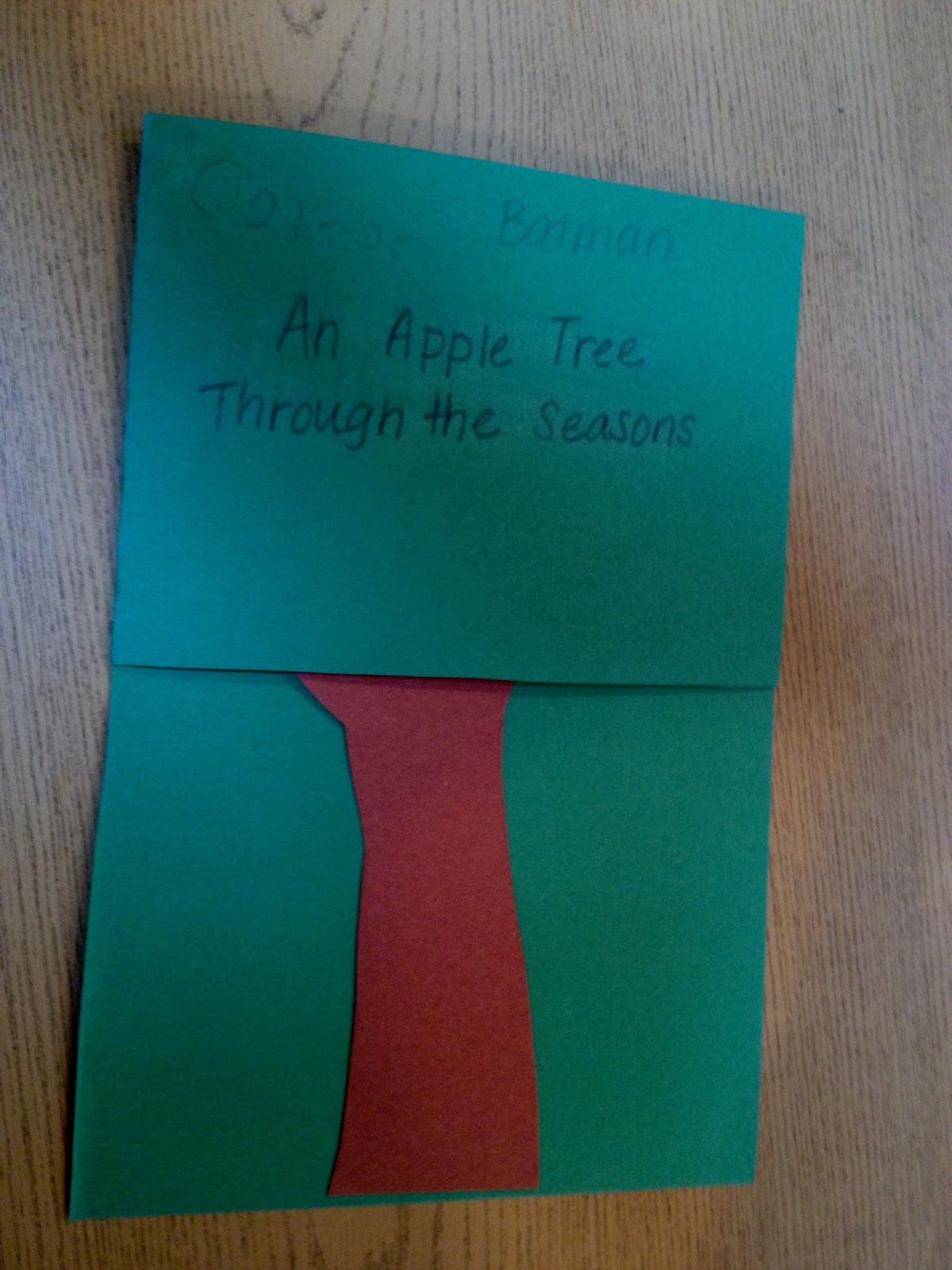 Evergreen Montessori House: Apple Tree Through the Seasons Book