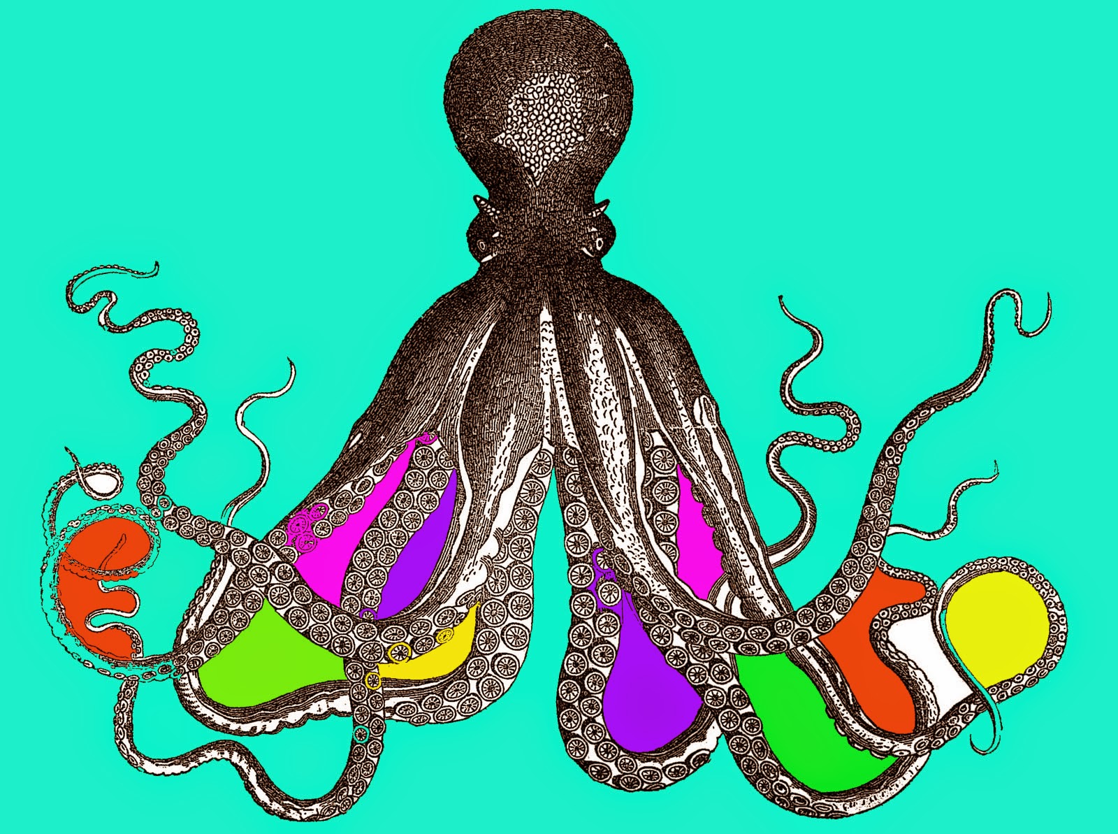 Tell Me a Story: Octopus's Garden