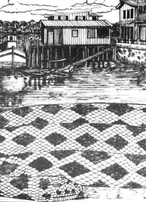 Amapá, minha amada terra!: LENDAS DO AMAPÁ - A Cobra Sofia