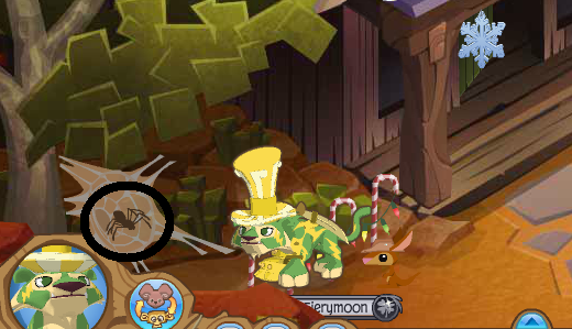 Animal Jam Community Blog: Kimbara Outback Journey Book Cheats