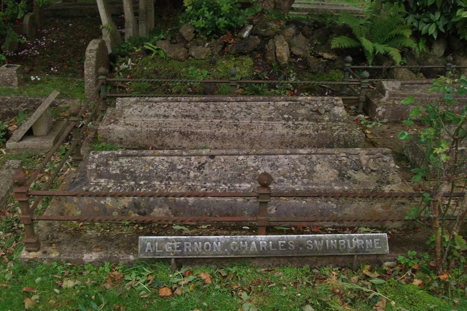 Ghost Blooms: SEARCHING FOR SWINBURNE