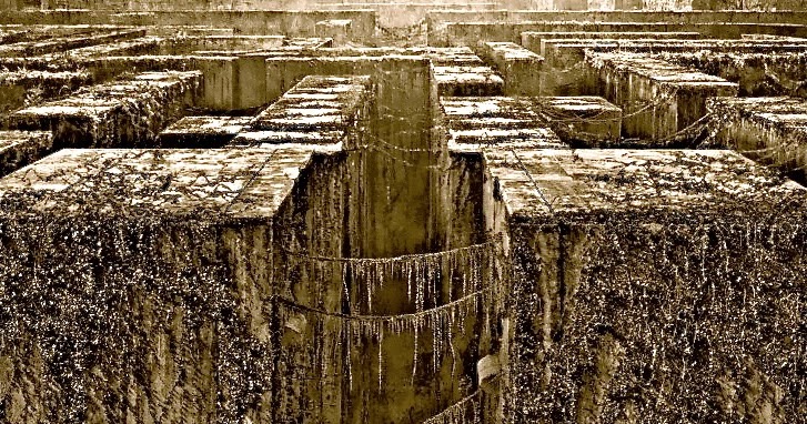 cult film freak: REVIEW OF THE MAZE RUNNER