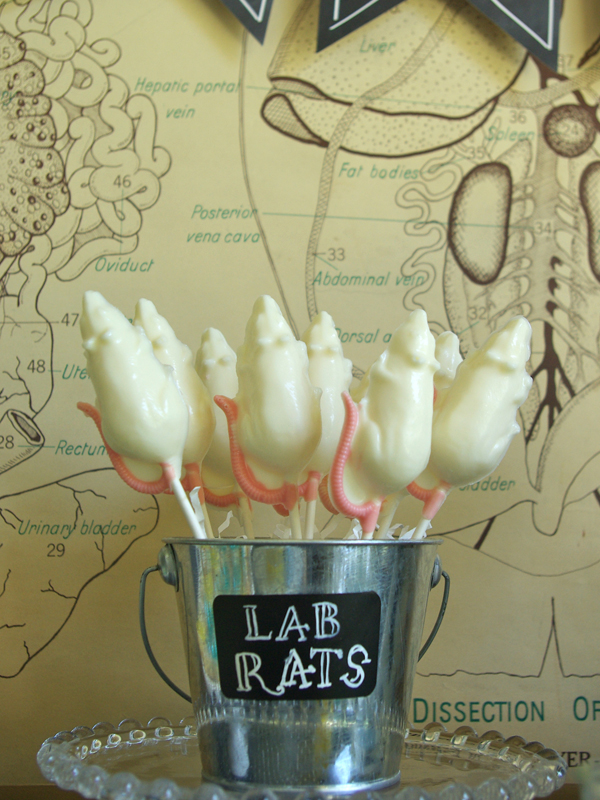 Oleander and Palm: Science Themed Birthday Party