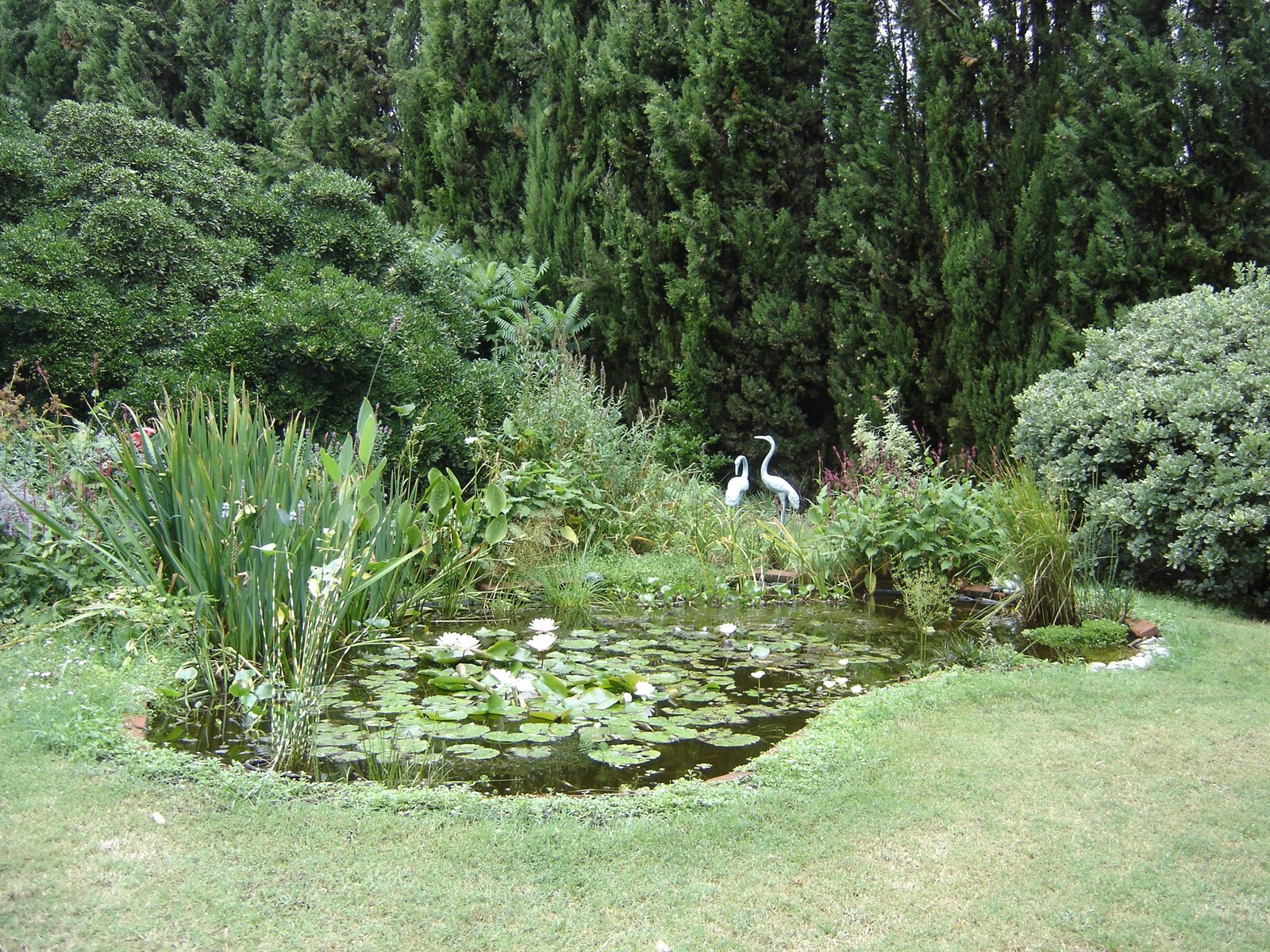 AAGJ- Asociación Argentina de Grupos Jardín: Se acerca el día del ...