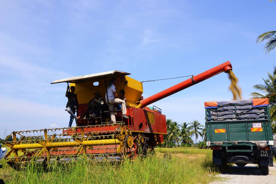 Pesawah Padi Vs Broker Padi Vs Tauke CIna - DenyutReformasi