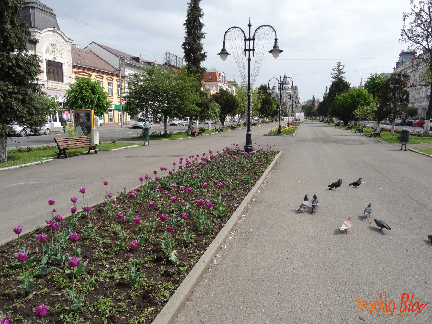 Apollo Blog: Targu Mures
