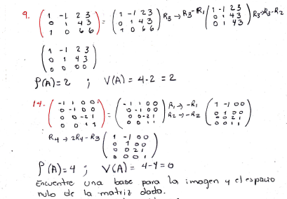 Rango, nulidad, espacio de los renglones y espacio de las columnas de ...