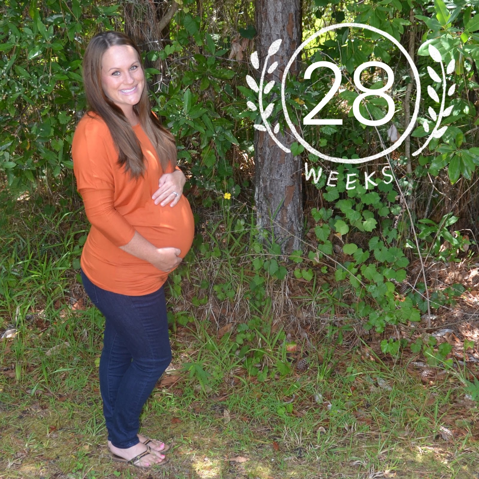 Little Baby Moon: 28 weeks with TWINS!
