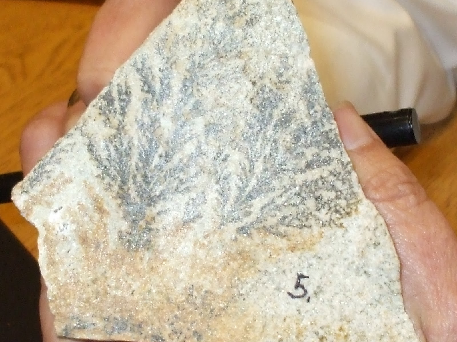 Eggs Come From The Store?: Exotic Carolina Terrane