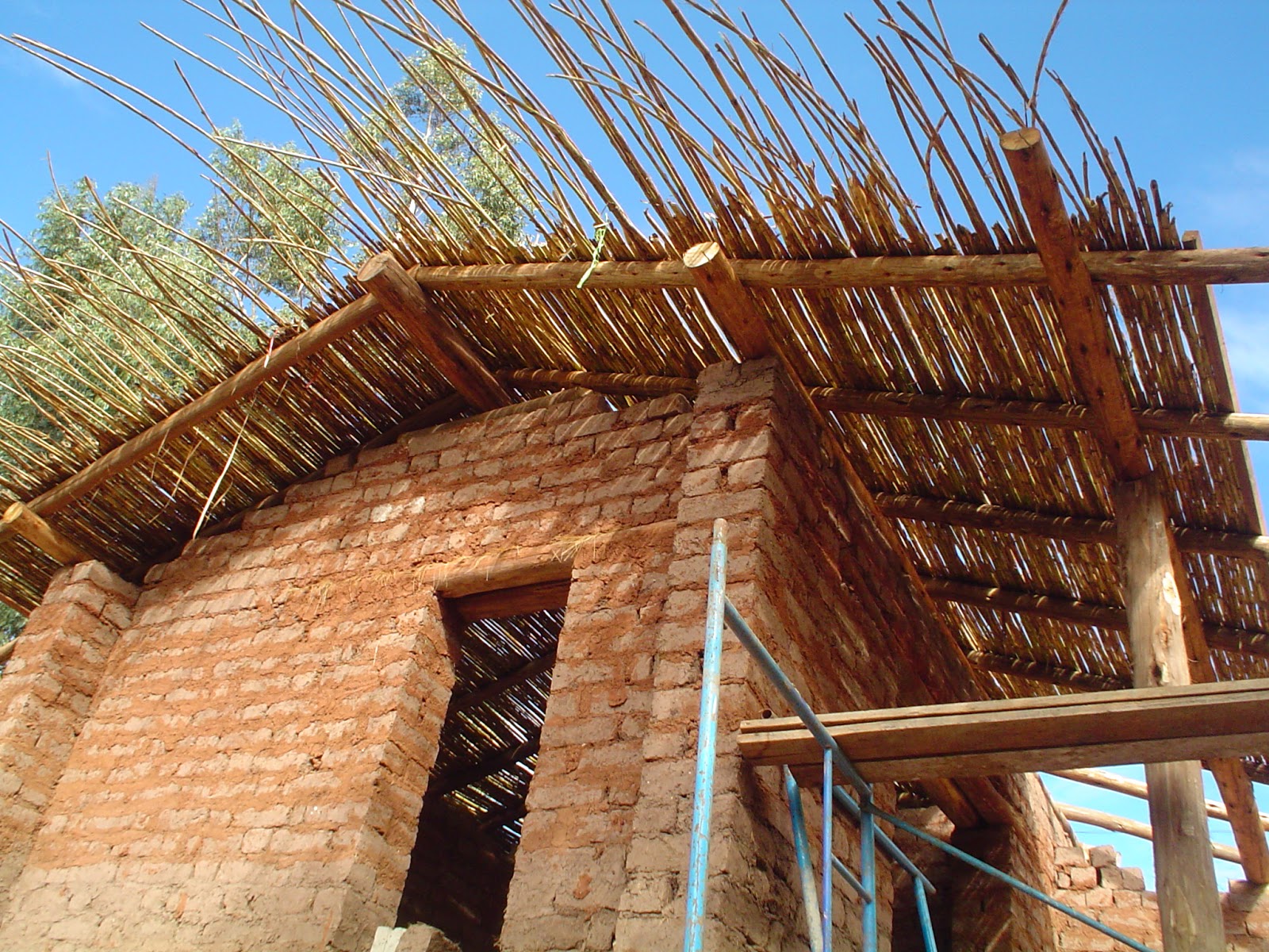 Proyecto Tierra Arquitectura Ecoandina