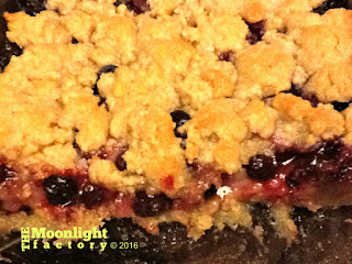 The Moonlight Factory