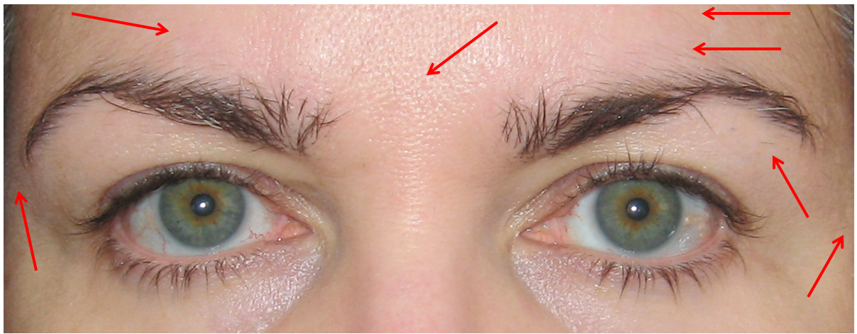 How to: Eyebrow Grooming for Women | Ages of Beauty: How to: Eyebrow ...