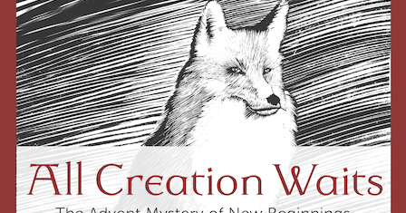 Dewey's Treehouse: Eyes Open in Advent (Book Review of All Creation Waits)