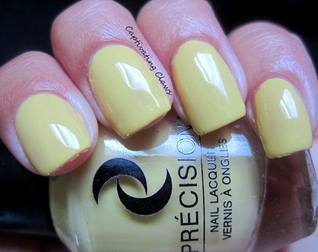 Captivating Claws: Precision Nail Lacquer- The Dreamy Collection