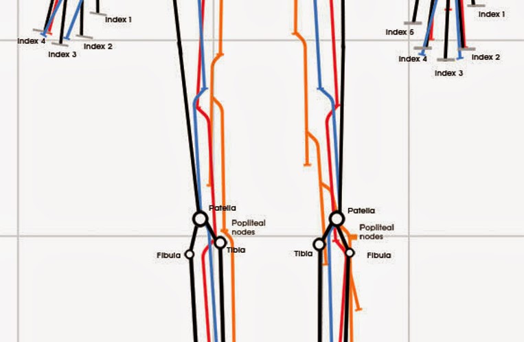 Design Stack: A Blog about Art, Design and Architecture: Human Body ...