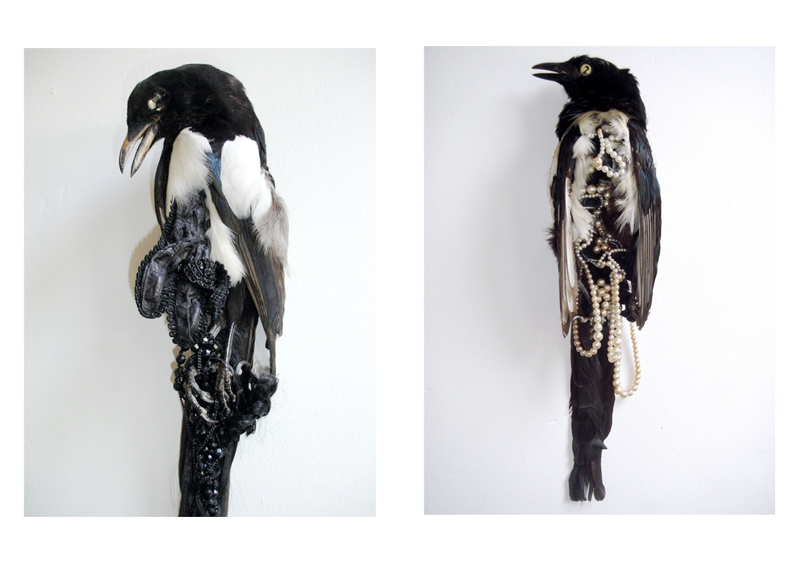 1101010101011010: Jane Howarth