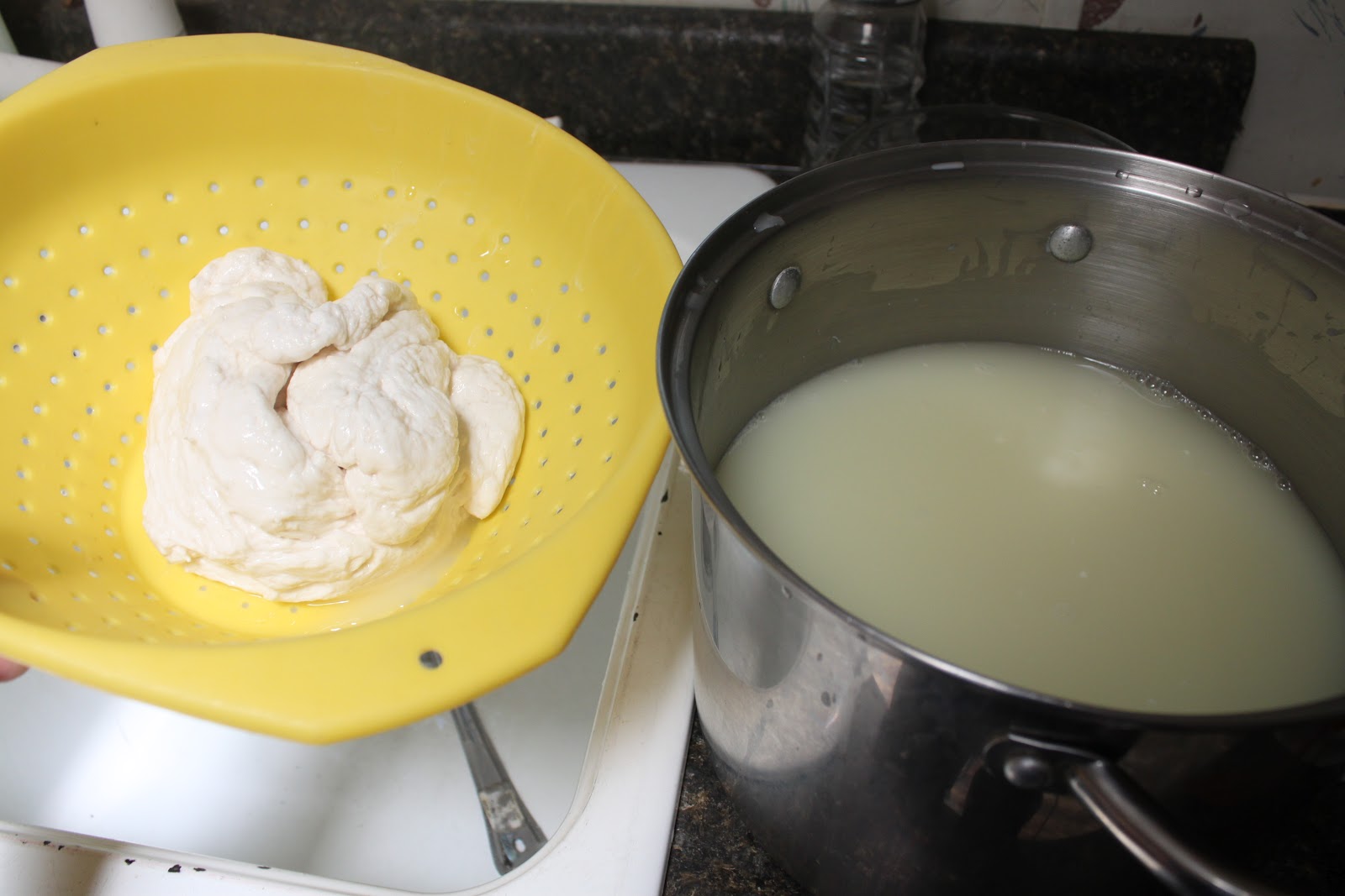 Homestead Life: How To Make Mozzarella (String) Cheese