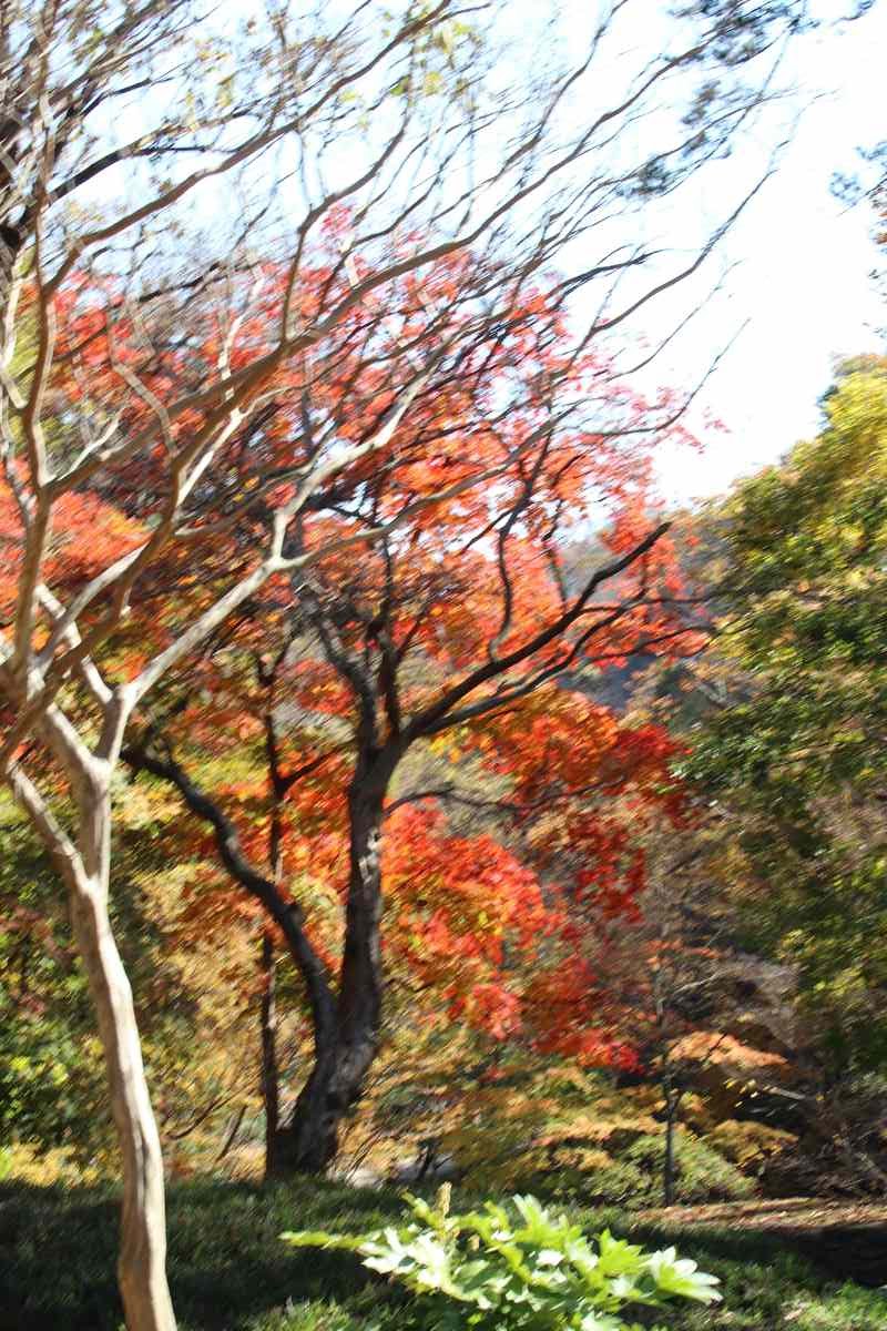 불기2566-11-24_대반야바라밀다경-k0001-479 - 불교진리와실천