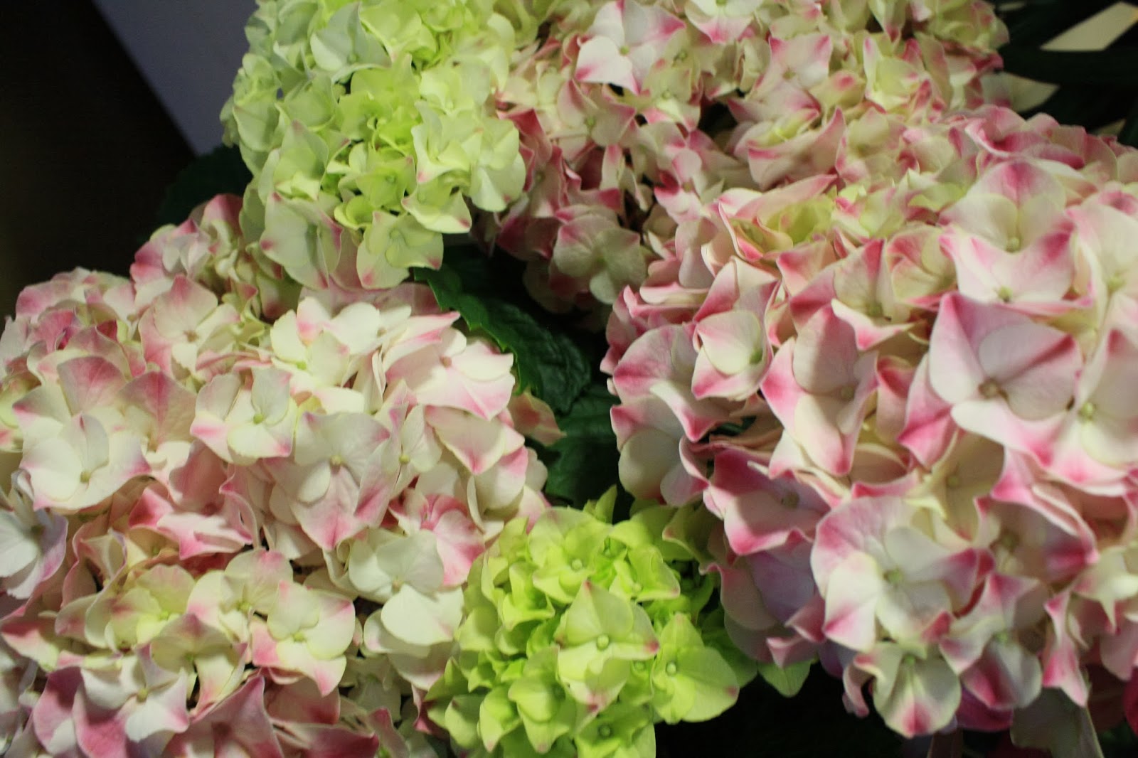 Ruston Florist and Boutique