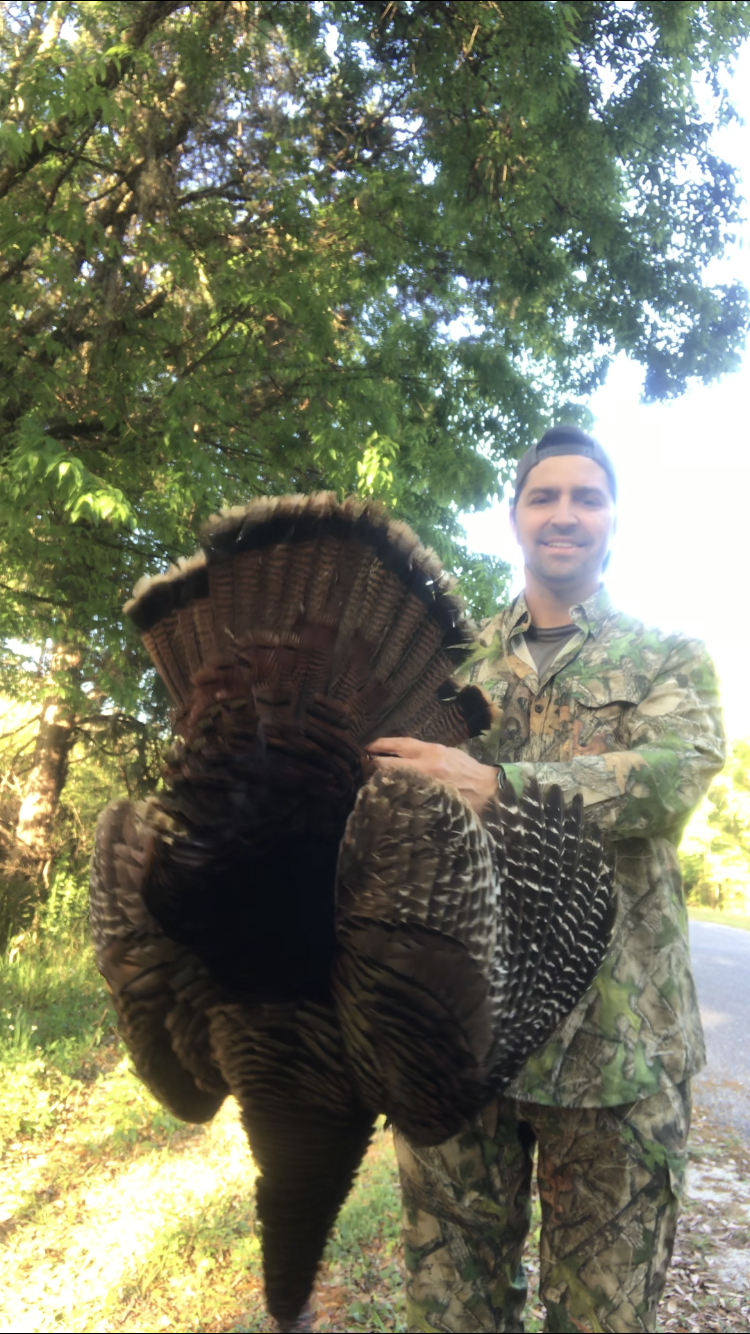 Tampa Criminal Defense Lawyer Updates