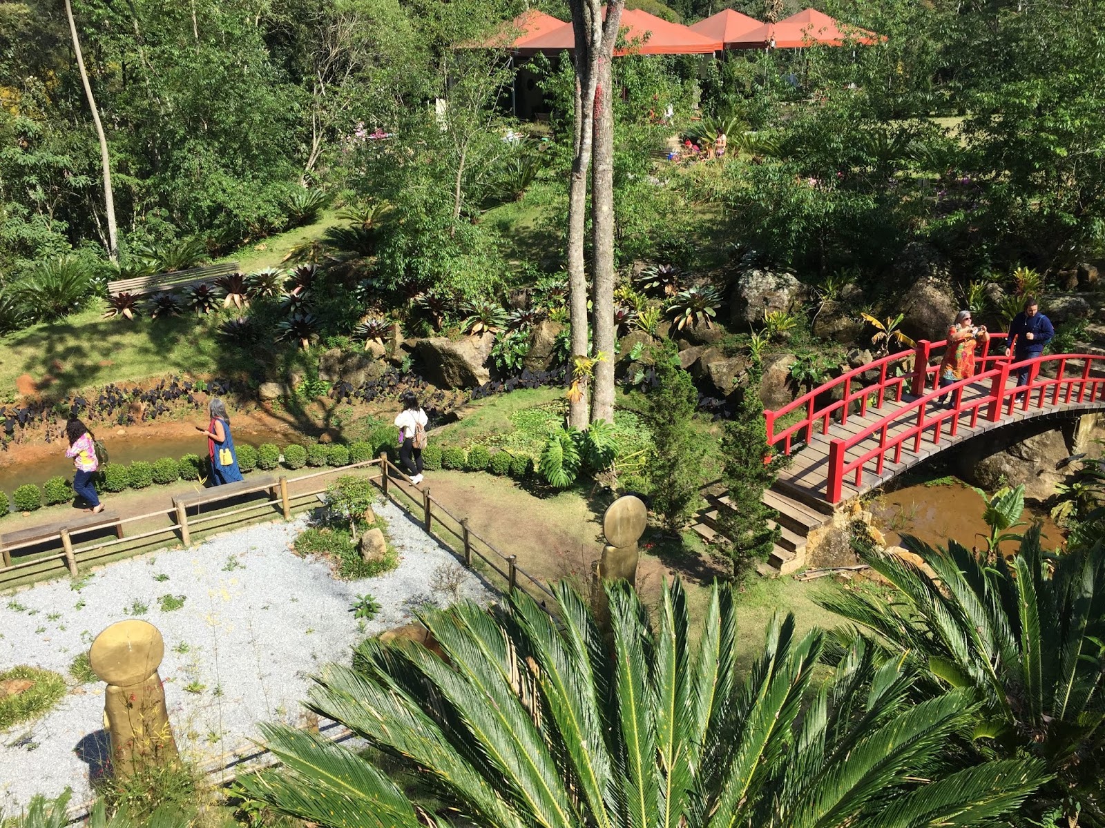 Vale do Amor - Petrópolis - RJ - Hibisco com Whey