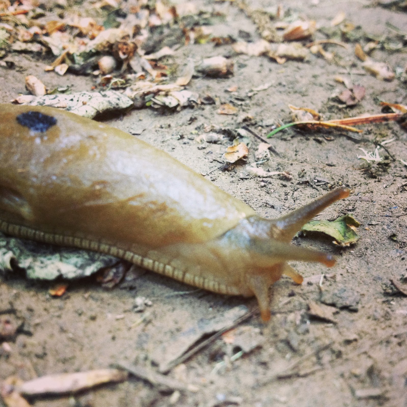 OmMama and KraftyKatina