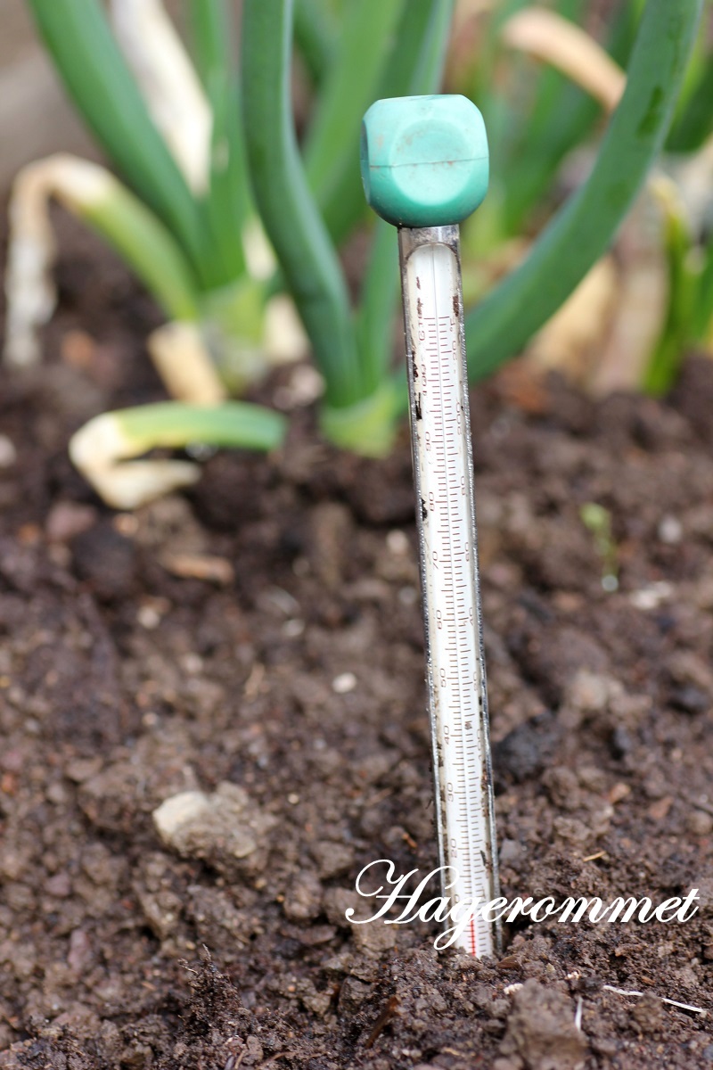 Hagerommet: Ta tempen på jorden....