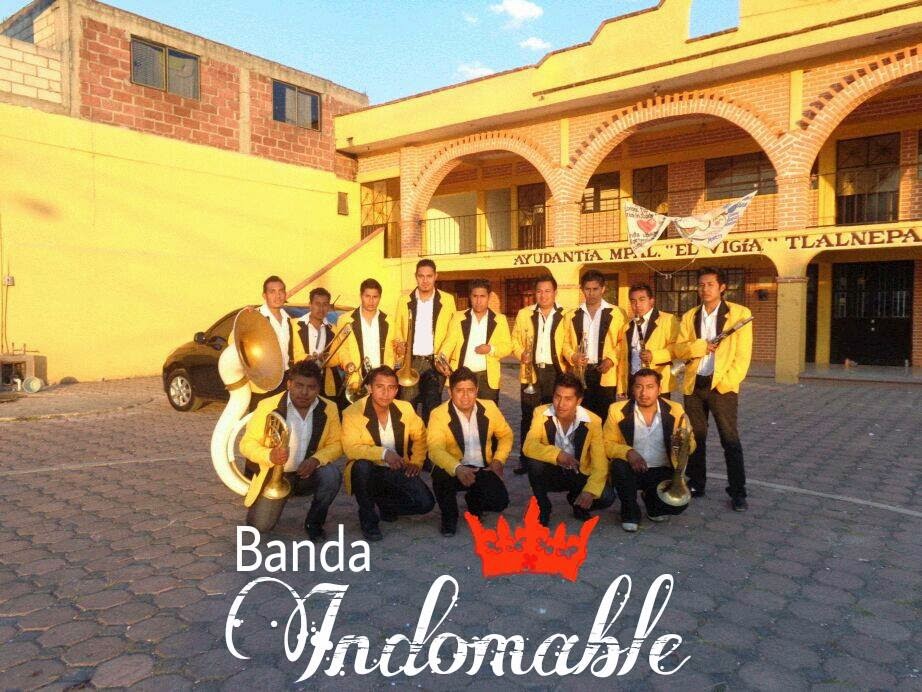 Bandas en Oaxaca: Banda La Indomable