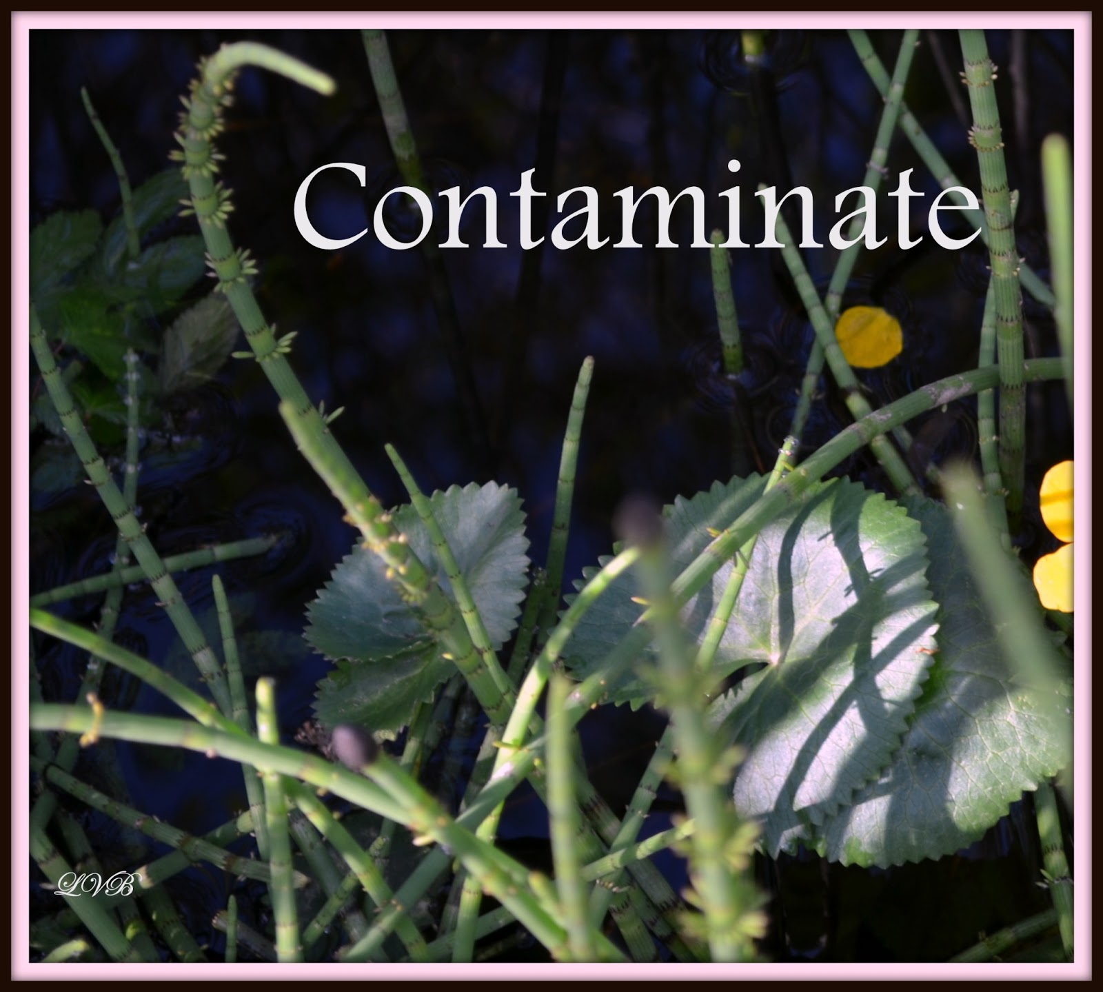 joy's notepad: Contaminate them!