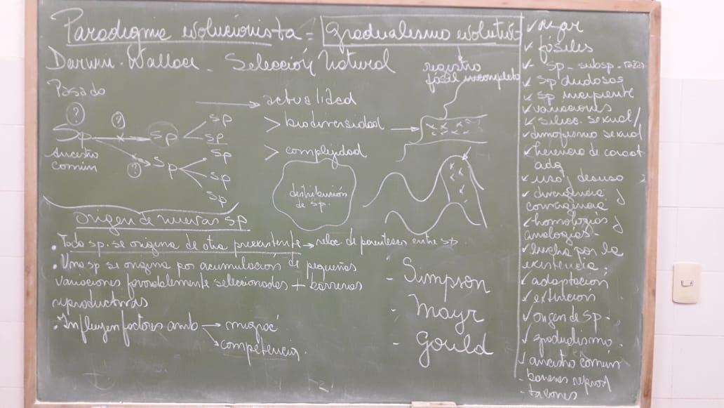 PARADIGMAS EVOLUCIONISTA (Gradualismo y Saltacionismo)