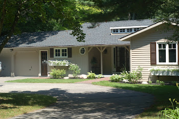 Busy Days Worthwhile: The Perfect Blue House