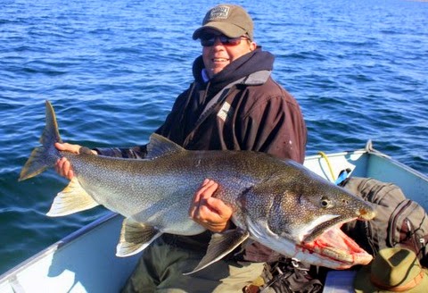 SABOR DE PESCA: A MAIOR TRUTA DO MUNDO: RECORDE FOI BATIDO NO CANADÁ