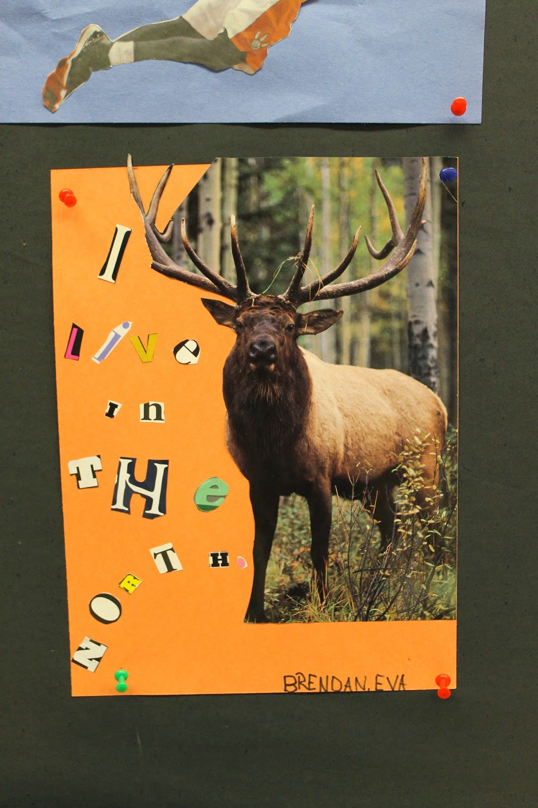 educational reflections with Mr. P, OCT (formerly Rumblings from 52 ...