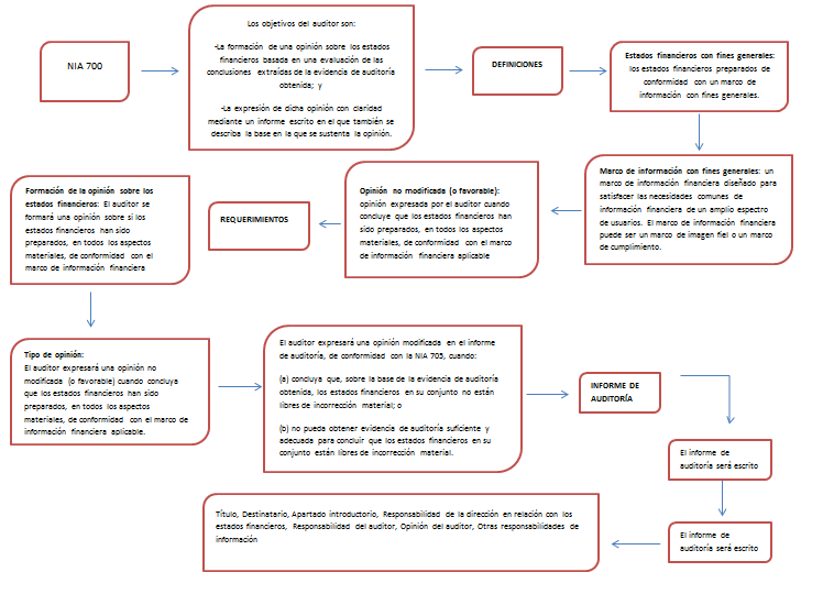 Fundamentos de Auditoría: NIA 700