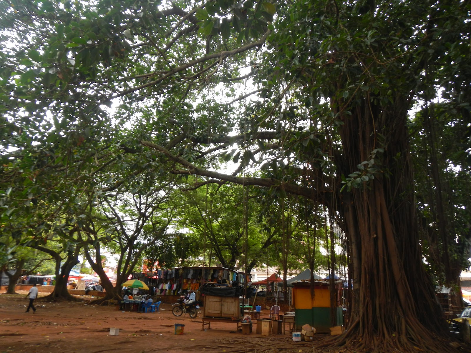 Ghana Love: Summer Remains Salient in Early September