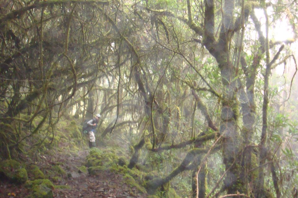 CEAC: CAMINO PRECOLOMBINO DEL YUNGA CRUZ