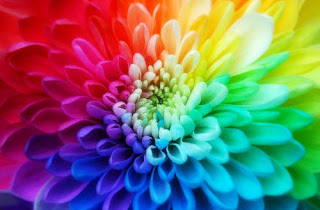 HD IPhone & Cute Desktop Wallpapers: 2011