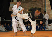 Karate Jutsu: Estrutura do Karatê Jutsu.