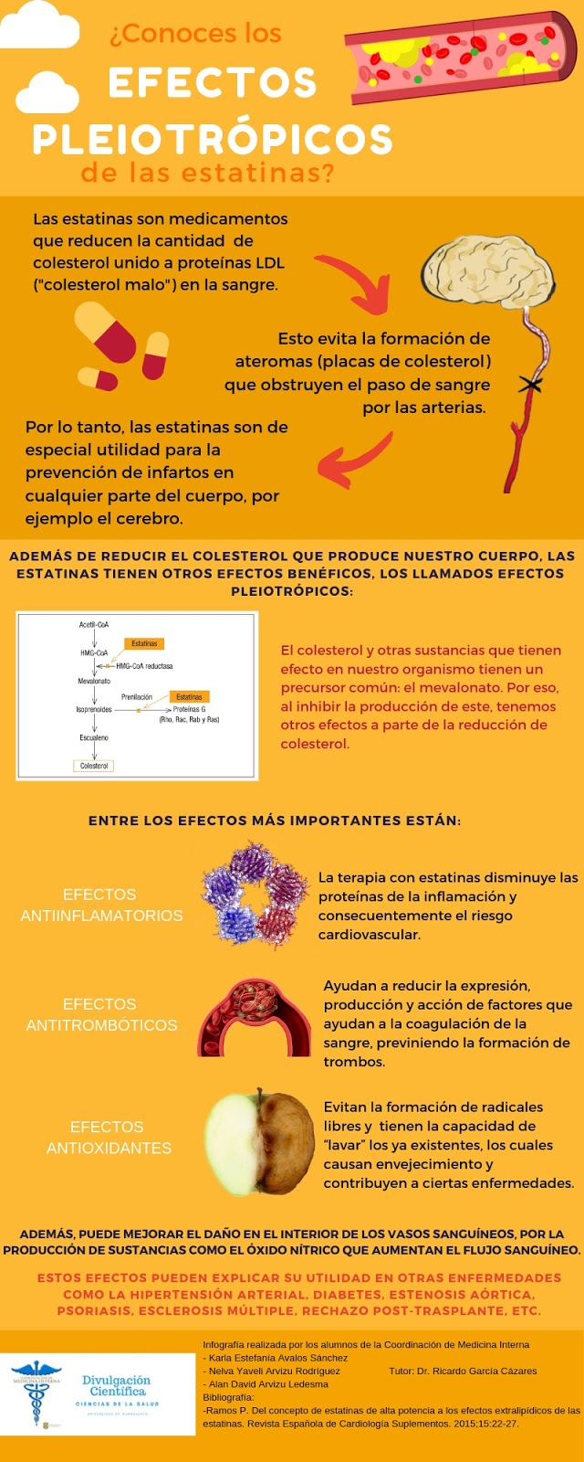 The Pleiotropic effects of statins. - DIVULGACIÓN CIENTÍFICA UG