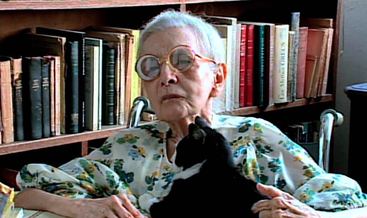 Nise da Silveira - entrevistada por Luís Gonzaga Pereira Leal | Templo ...