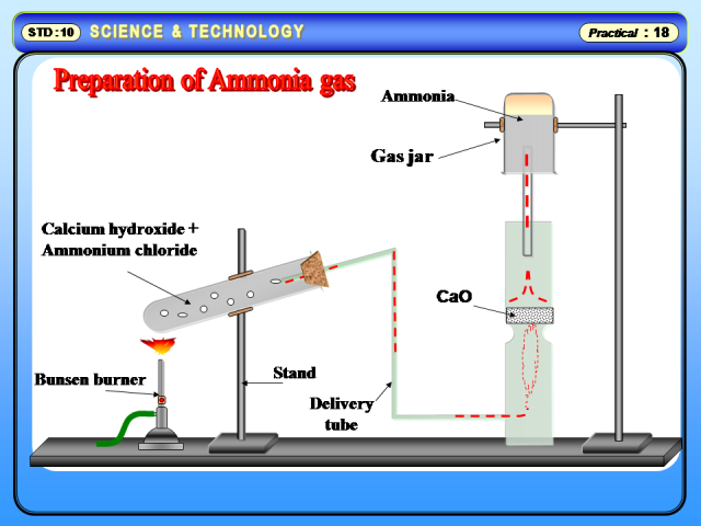 Physics Learn: To prepare ammonia gas in the laboratory and study its ...
