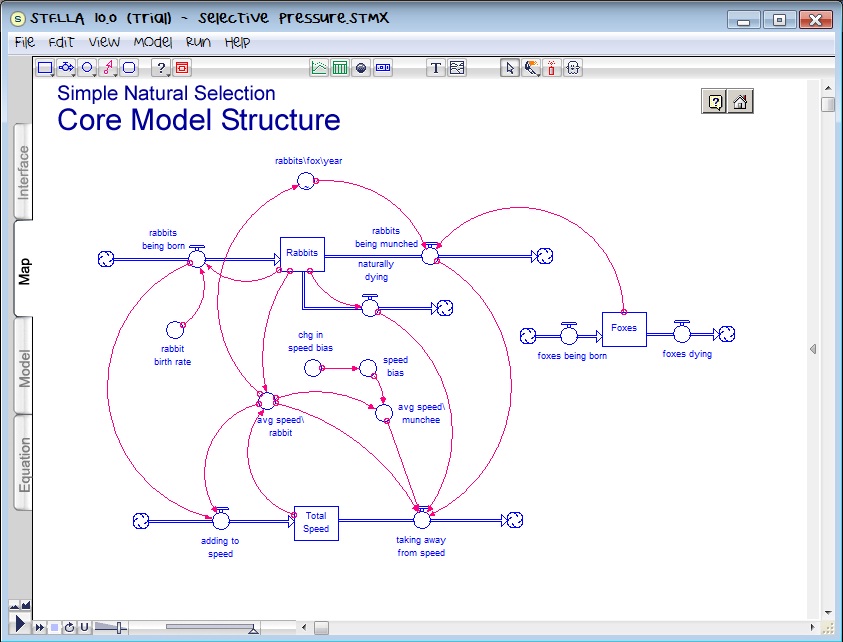 e-Portfolio: Assignment 3 : STELLA Simulation Report