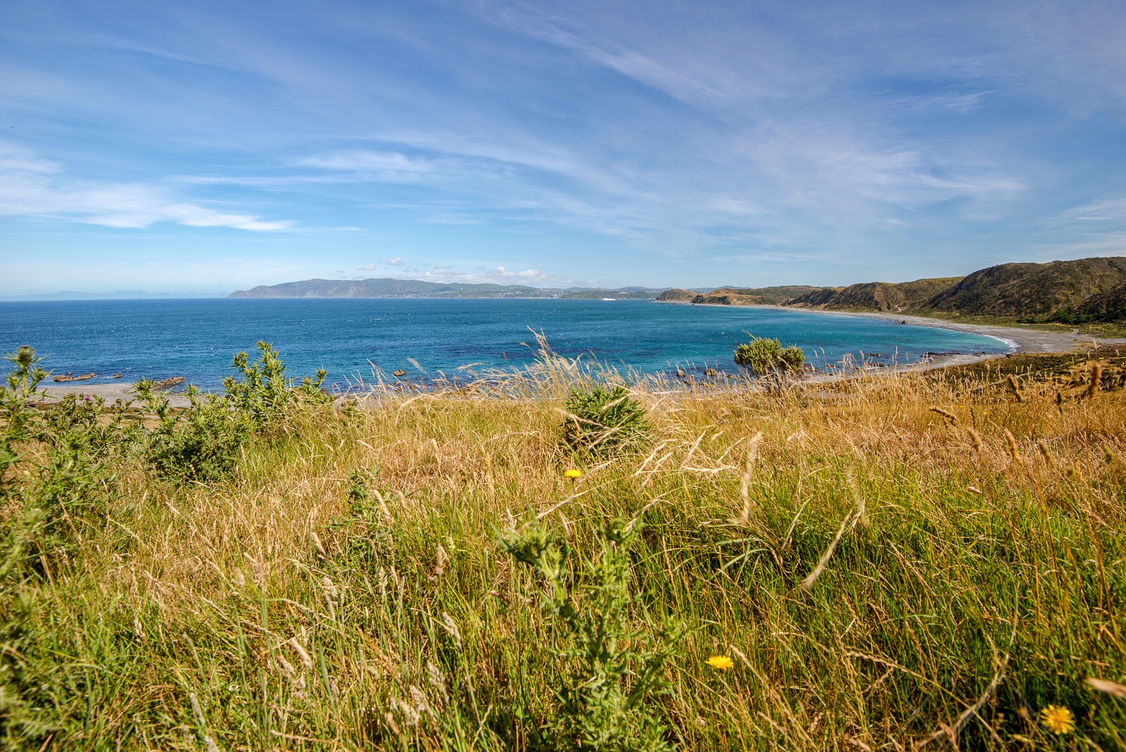 NZ Must Do: Adventures in Wellington - the walk to Baring Head ...