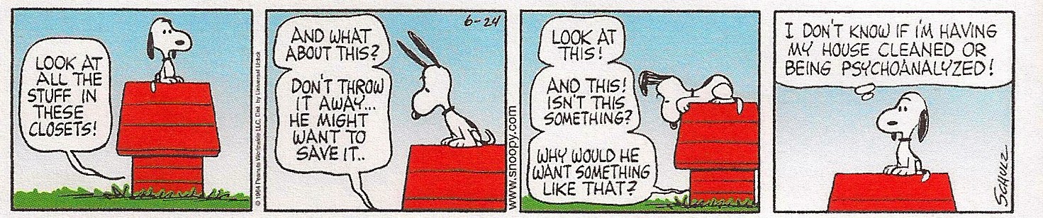 Jason's View from DC: Snoopy's House Cleaning, Part II