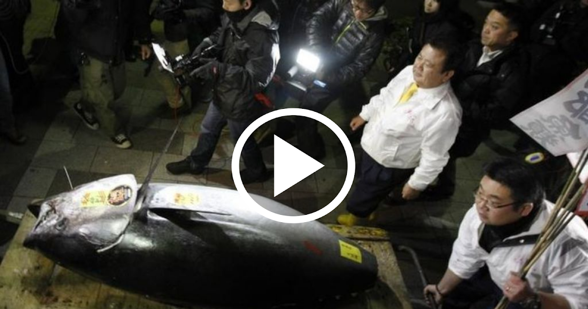 World's Most Expensive Tuna Sold for $1.7M | World of Fishing