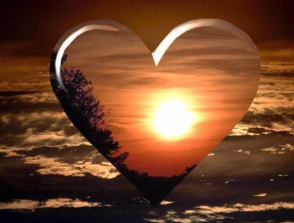 TRUE LOVE: NICE LOVE