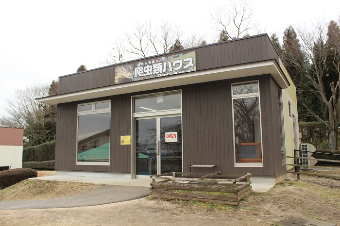 Zoos in Japan: Aso Cuddly Dominion