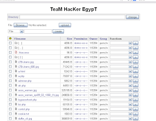 Team Hacker Egypt Shell Backdoor - Jendela Defacer