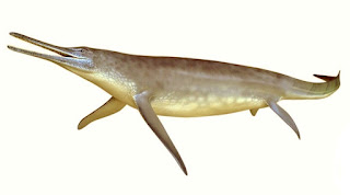 LA MIA PREISTORIA: DINOSAURI ITALIANI